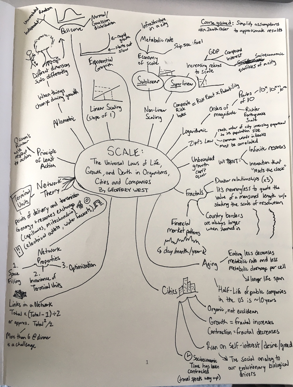 Visual Book Notes: Scale | Lucas Cohen